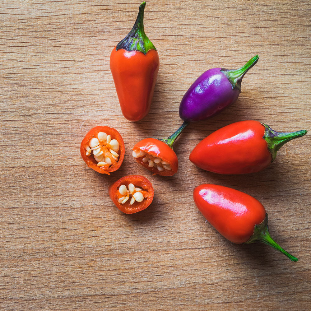 Ornamental Pepper Seed Collection – The Pepper Pantry