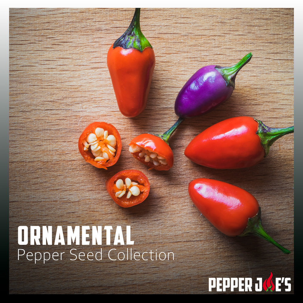 Ornamental Pepper Seed Collection – The Pepper Pantry