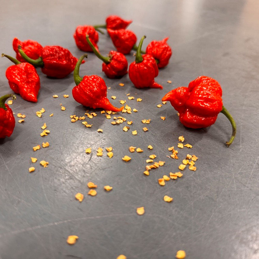 SEEDS at THE PEPPER PANTRY – The Pepper Pantry