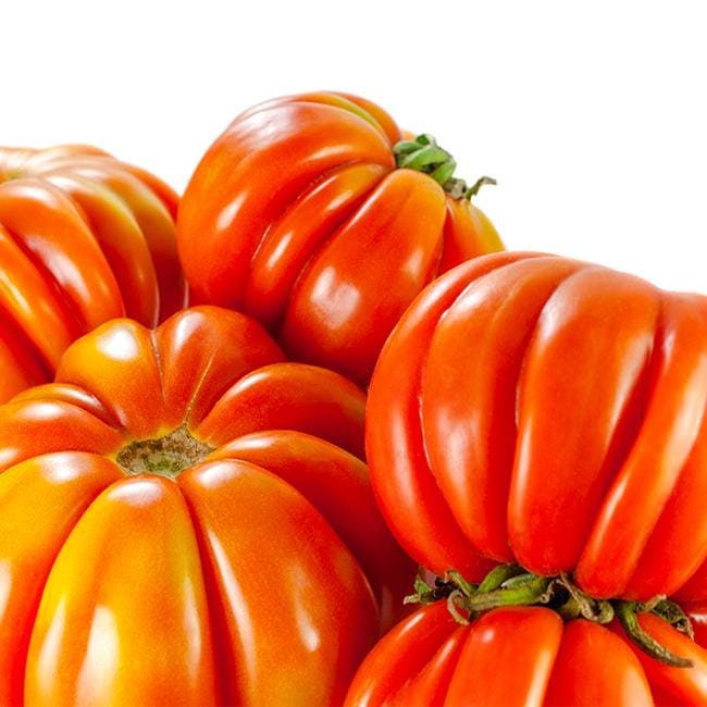 Costoluto Genovese Tomato Seeds – The Pepper Pantry
